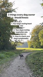 I wish I’d been keeping a better eye on these things. Maggie loves sleeping under the covers so every night at some point she gets too hot and started panting rapidly to cool down…or so I thought. Now that we know she has DCM I don’t know how to tell between when she’s panting to cool off or if she’s panting due to fluid build up. This led me to realize that I wish I’d been regularly tracking and checking these things so I had a log to look at and see trends in these behaviors. Three things I th