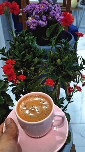 şükran akalan (@skrn.akln47) adlı kullanıcının الصوت الأصلي - Bavê Can ile oluşturduğu videoları