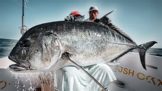 SIn duda estos son los trofeos de oman, asi es la pesca del GT gigante . Recuerda que el quipo que usamos lo puedes encontrar en Curricanes.com . Equipo Utilizado Caña: Howk fishing Big Blue 74 Carrete: Shimano Stella 18,000 | Snook Mafia