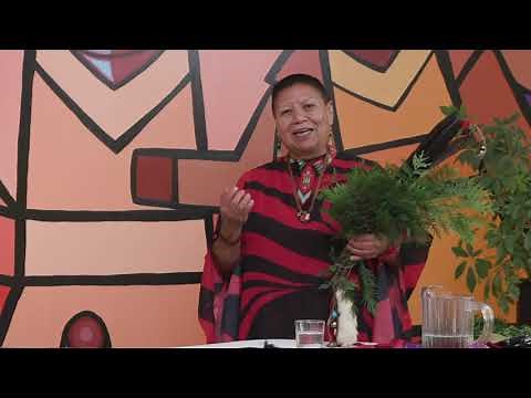 Aboriginal Health Trauma Informed Care