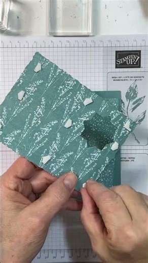 Stampin Up//Deckled Rectangles//Inked & Tiled//Inked Botanicals DSP//#Shorts//2023-24 Annual Catalog