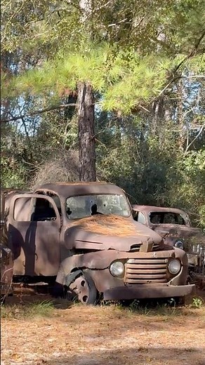 Old Abandoned Ford Trucks