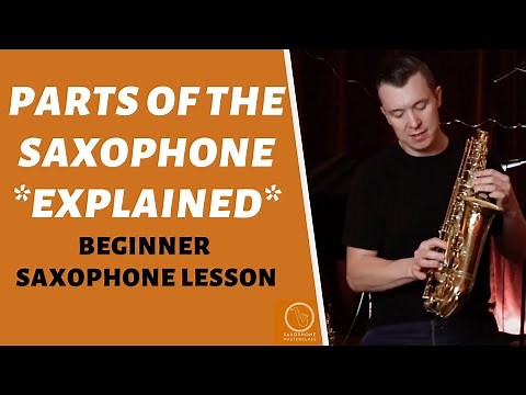 Parts Of The Saxophone | Free Beginner Saxophone Lessons