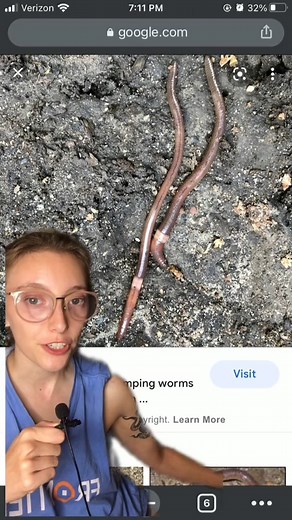 earthworms are only invasive in the north! #biology #science #learnontiktok #earthworms #soil #education #worms | Species.101