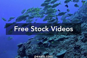 Free Yolobit+Mp4+Sweet+Little+School+Girls Videos