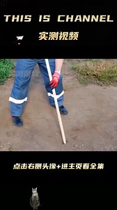 竖版_9 (2)实测视频