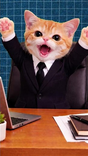 Learn Computer Basics with Cats 🐱💻 So Easy!