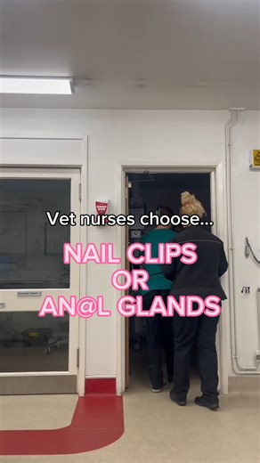 Don’t worry, both are included in a Pet Health Club membership! #pethealthclub #doghealth #dognailclipping #dognails | Pet Health Club