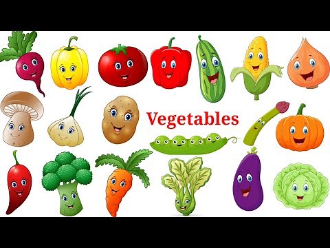 Vegetables name in English| Vegetable Names With Pictures| Different Types of Vegetables| Vegetables