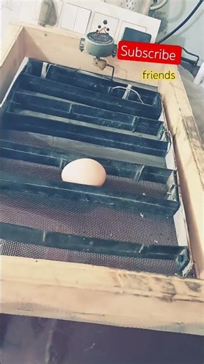How to mack Automatic egg rotater try in telugu #abc #inqubator #eggworks