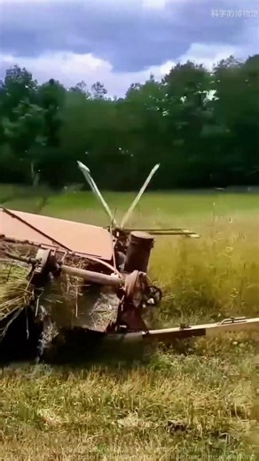 Bull-Powered Threshing Machine: Unique Charm of Rural Tools