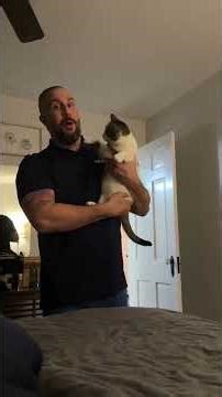 don’t worry, she got her lick back at the end 😭 #catoftheday #catlovers #cat #cats @michaela.la