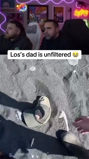 Brown Bear Encounter: Dramatic Moments Unfold