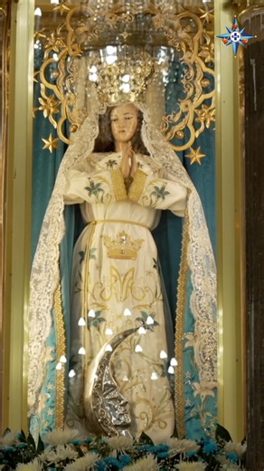 4.2K views · 230 reactions | CARAVANA POR LA PAZ l Testimonios María Eugenia Carrillo y Juan Roberto Gallegos, Templo de la Tercera Orden, Dolores, Hidalgo, Guanajuato. | María Visión | Facebook