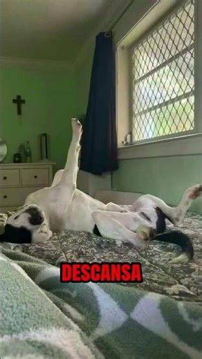 ¡Michael por fin es feliz!🥺❤️