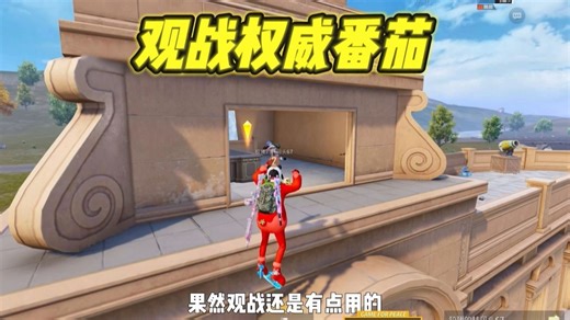 果然权威番茄的脑子构造就是不一样