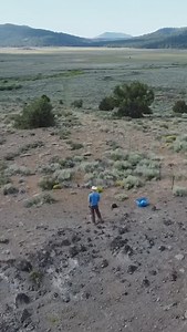 1.7K views | Happy #OneHealthDay  The UC Davis One Health...