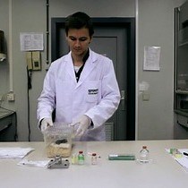 Video: A Highly Reproducible and Straightforward Method to Perform In Vivo Ocular Enucleation in the Mouse after Eye Opening