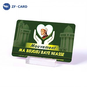 [Hot Item] Plastic Card Customized 13.56MHz Ntag213 NFC Card for Business Card
