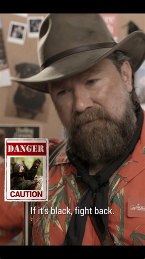 "Bear Survival 101: What to Do If You Meet One" (Roger Clark, 2025) | ASUS Republic of Gamers