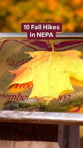 Here are 10 amazing fall hikes to check out in NEPA! Lace up those hiking boots and discover waterfalls, open meadows and picturesque lakes surrounded by colorful foliage at these stunning spots. 🥾 #DiscoverNEPA 🍂Ricketts Glen State Park 🍁Salt Springs State Park 🍂Nay Aug Park 🍁Greater Hazleton Rails to Trails 🍂D&H Rail-Trail 🍁Van Scott Nature Reserve 🍂Locust Lake State Park 🍁Browning Beaver Meadow Sanctuary 🍂Hazle Township Community Park 🍁Promised Land State Park | DiscoverNEPA