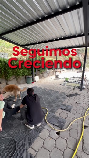 De un parqueadero pequeño a un autoestudio reconocido en Quito 🚘✨. Dapper sigue creciendo: ahora estamos próximos a inaugurar nuestra área de mecánica automotriz para complementar lo que ya hacemos con eldetailing y cuidado de autos. Porque un carro no solo debe verse bien, también debe mantenerse impecable por dentro y por fuera. 🔧 Gracias a todos los que confían en nosotros y han sido parte de este camino. 🙌 Esto es solo el comienzo… 📍Dapper, taller mecánico y de detailing en Cumbayá – Qui