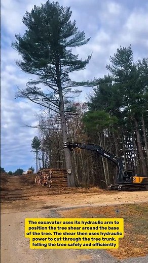 Excavator Tree Cutting: Efficient Logging with Tree Shear Attachment