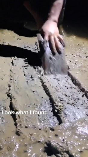 #foryou #fyp #tiktok #ocean #fishing #catch #seafood