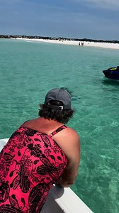 #shark #PCB #shell island | Justin Danfelt