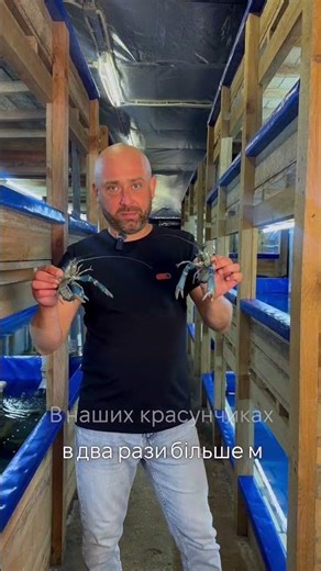 Tel+380665706717Help with setting up a crayfish and shrimp farming business!Support Training of fry