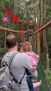 Une famille se lie avec un singe sur un pont de la jungle | Femme Heureuse