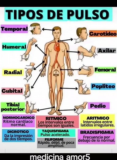 Marle Godoy on TikTok