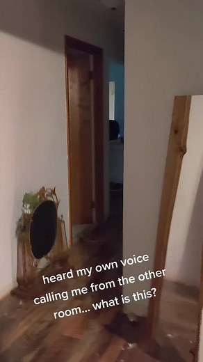 laying in bed when I heard my own voice calling from the dining room. what is this? #skinwalker #creepy #notdeer #cryptid