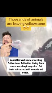 This is a strong warning to the people living in or near yellowstone. stay safe you guys. #WeatherModification #HAARP #weather #naturaldisaster | Conscious media 369