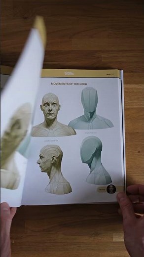 Form of the Head and Neck by Anatomy For Sculptors​ #anatomy #digitalsculpt #characterdesign #art