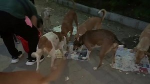 43 reactions | Please support us  We are in urgent need of food....