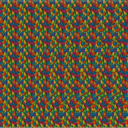 How to View a Stereogram: Techniques for Success