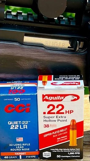 Ruger 10/22 Suppressed - Subsonic Test 22LR