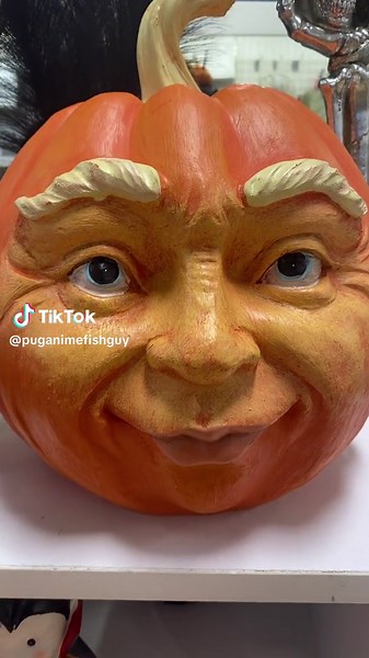 #fyp #pumpkin #donaldtrump #marshalls