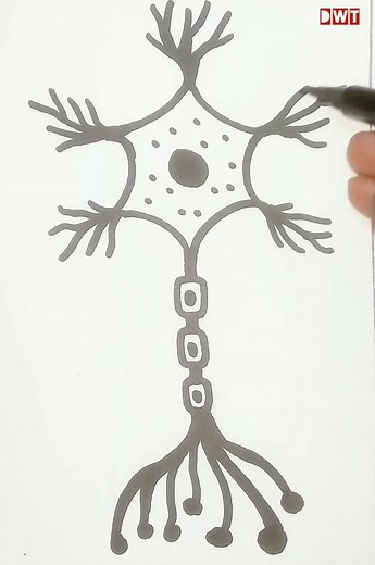 Draw With Tanvir on TikTok