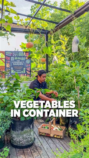 Remember, not every vegetable needs to grow directly in the ground! With the right containers and a sunny spot, you can grow tomatoes, peppers, eggplants, zucchini, carrots, potatoes, peas, strawberries, herbs, and ginger, even on a patio or balcony. TIPS: Use pots with drainage holes, choose a quality potting mix (not garden soil), and water consistently since containers dry out faster than ground beds. Most veggies need at least 6 hours of sunlight, so a balcony, patio, or even a sunny window 