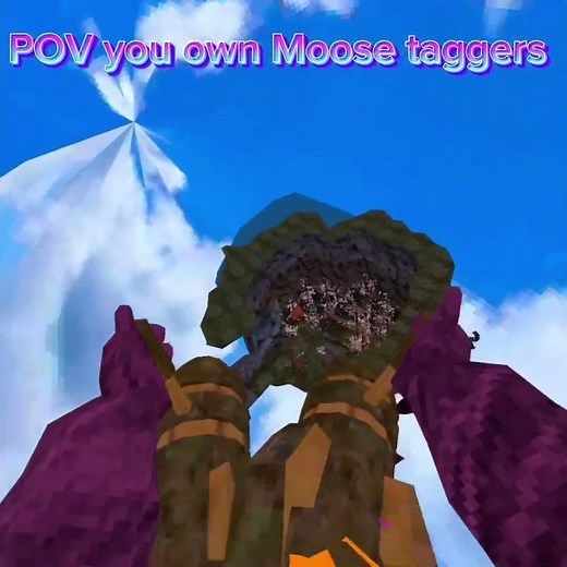 Pov you own moose taggers #gtag #vr