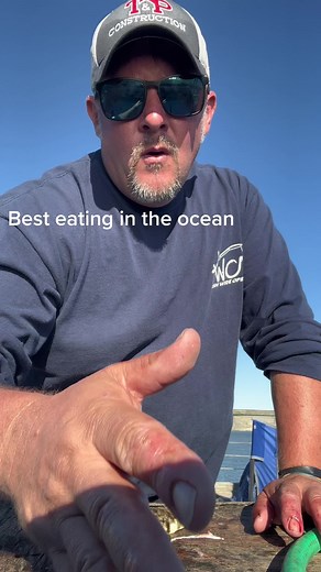 Catch clean cook #fyp #graphic #fish #food #fyp #foryou #fishing #dinner #fishfry #seafood