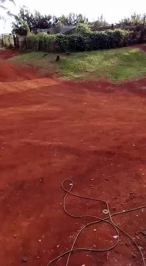 Exploring a Tranquil Rural Landscape