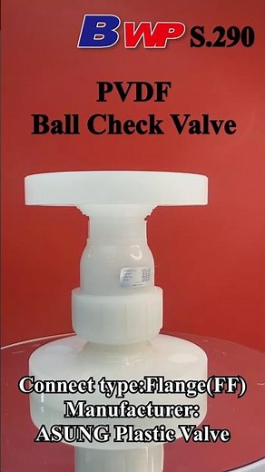 PVDF Ball Check Valve Flanged type (FF). ASUNG Plastic Valve. BWP