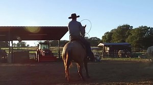 DRIVEN 2.0 From the makers of Driven, Epic, and Legend comes Driven 2.0. In this inspiring DVD along with detailed roping instruction, Patrick talks about what it takes to make a career out of Rodeo. He provides tips on how to handle the roller coaster ride that comes with competing, attitude, mental game, what it takes to get sponsors, and much more. WATCH NOW! Driven 2.0 NOW AVAILABLE On Vimeo and Amazon On Demand! Pick your platform, buy, and enjoy! Or order the DVD (NOW SHIPPING!) Amazon Vid