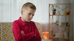 Upset boy crossing arms at home. Offender boy in red polo shirt crossing arms and pouting lips in light living room in daytime at home.