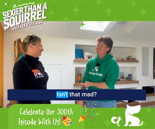 3.3K views · 23 reactions |  300 EPISODES!   Three hundred...