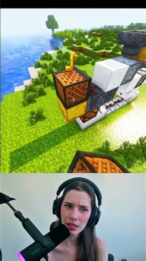 Easy game with a bookshelf #minecraft