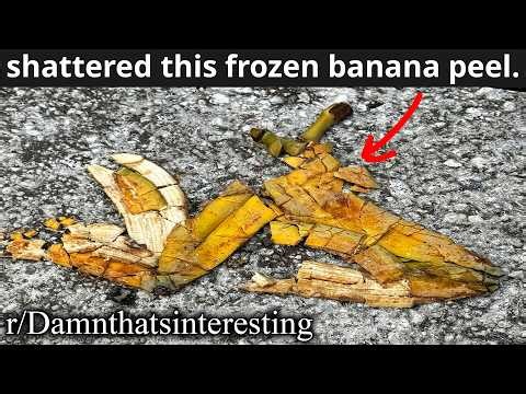 𝓲𝓷𝓽𝓮𝓻𝓮𝓼𝓽𝓲𝓷𝓰 𝓻𝓮𝓭𝓭𝓲𝓽